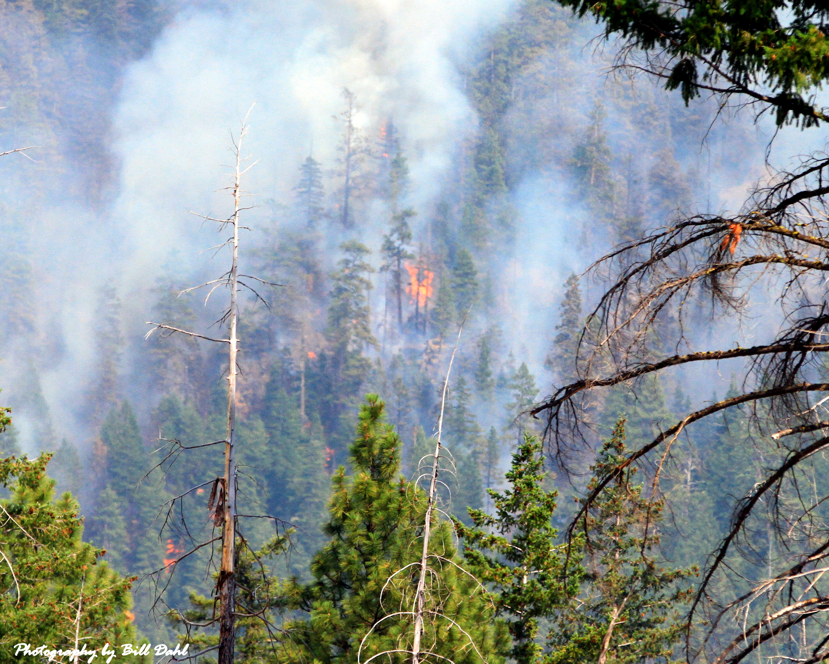 Metolius River Recreation Area - Bill Dahl