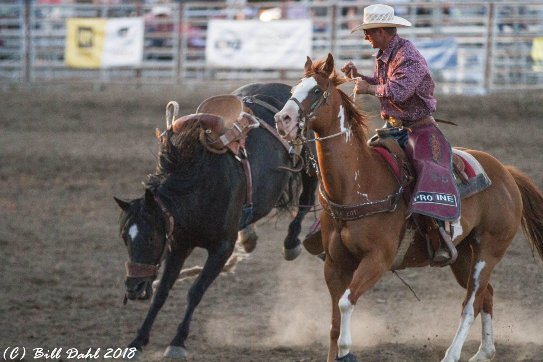 2018 Deschutes County Fair Rodeo - August 2018 - Bill Dahl